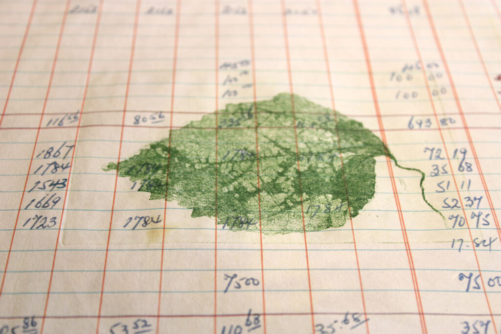 5 June 2024: A Hymn to the Banished – Artist Annalee Davis in ...